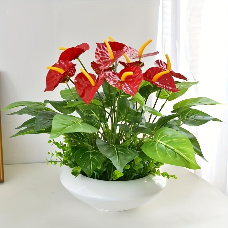 Bunga Anthurium Merah Tiruan, 12 Bunga Merah Sebenar, Batang - TikTok ...
