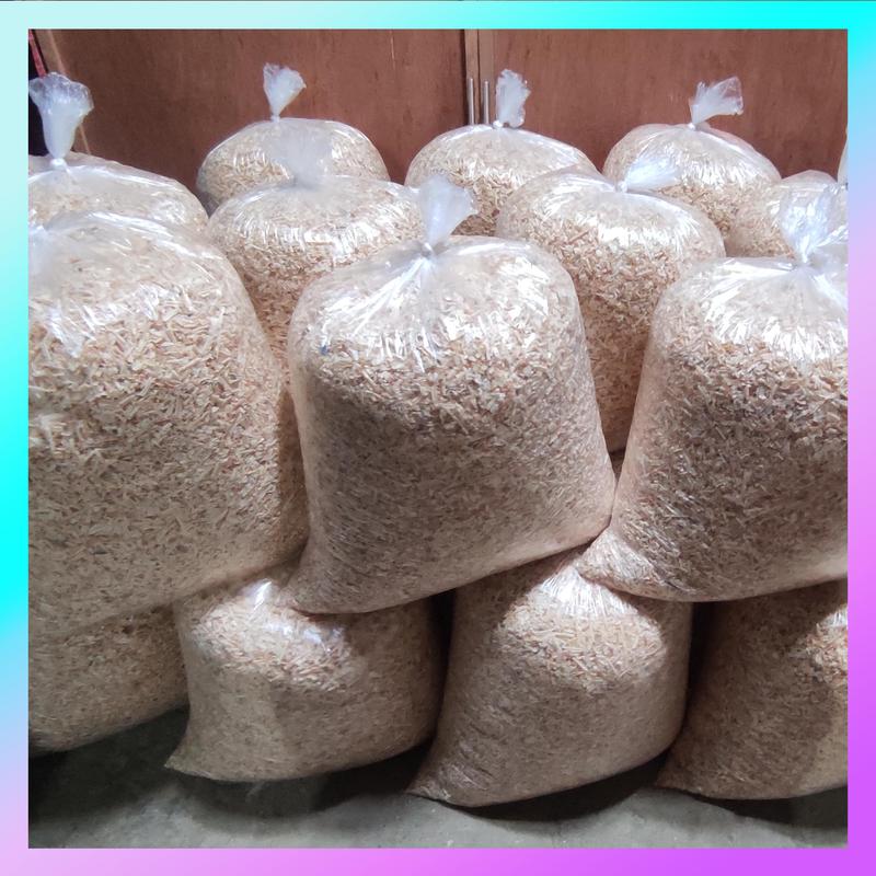 1KG Kusot per Kilo from Palochina hindi bitin sa timbang! Hamster ...