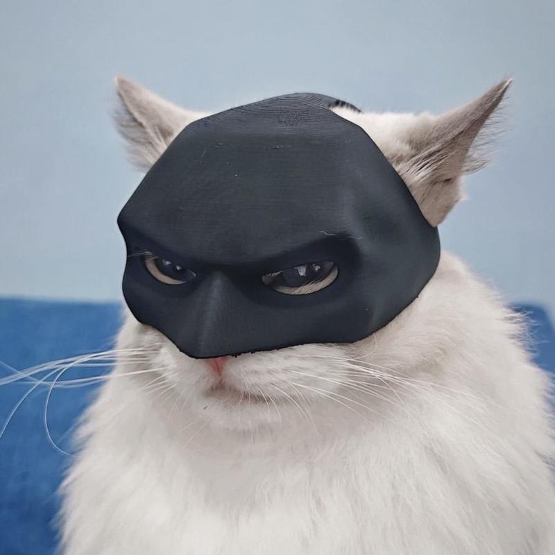 Topeng Kucing Batman, Bercetak 3D Topeng Kucing Batman, Gaya Ins ...