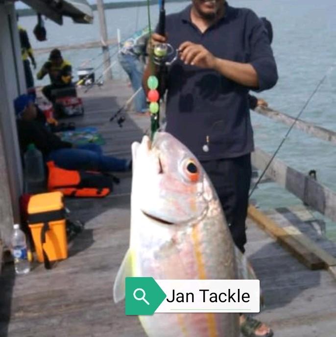 perambut kelong Mancing Equipment - TikTok Shop Malaysia
