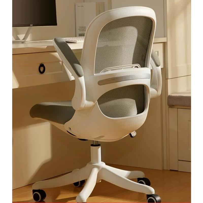 Smart Ergo Ergonomic Computer Chair with Mesh Back | Study Chair ...
