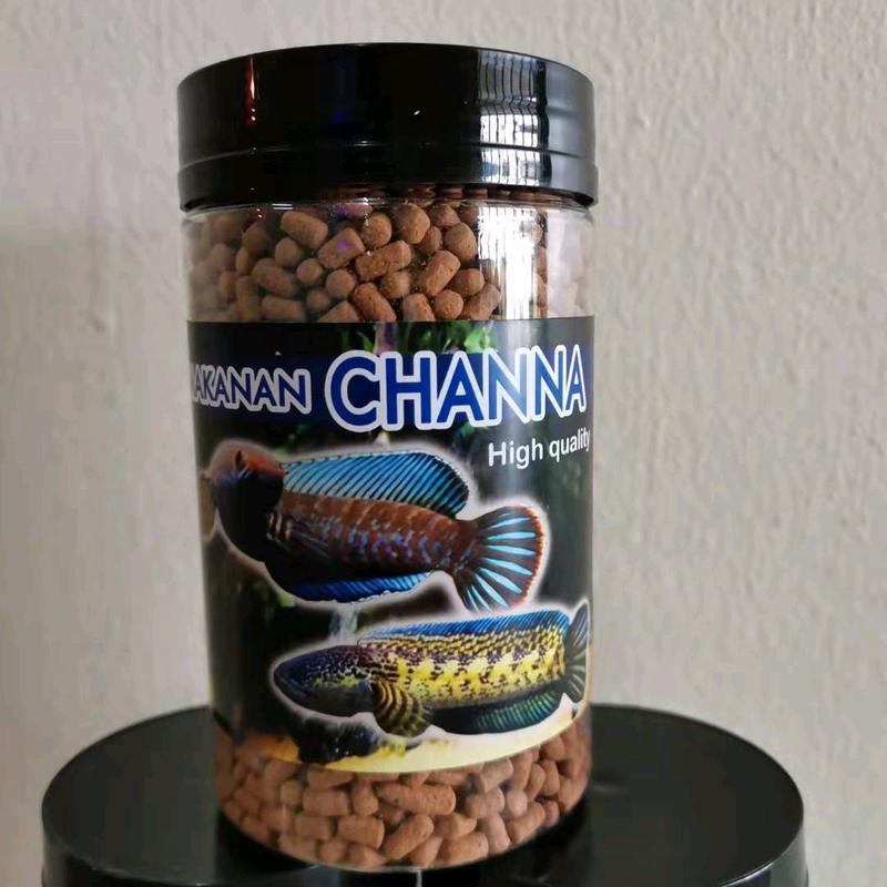 MAKANAN IKAN CHANNA HIGH QUALITY SESUAI UNTUK IKAN CHANNA,IKAN - TikTok ...