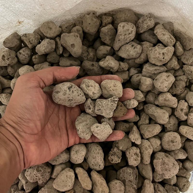 Batu Apung Pumice Media Filter air aquarium 300gram - Shop | Tokopedia