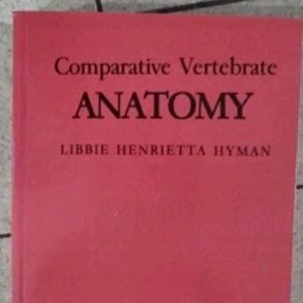 Comparative Vertebrate Anatomy hyman - TikTok Shop Philippines