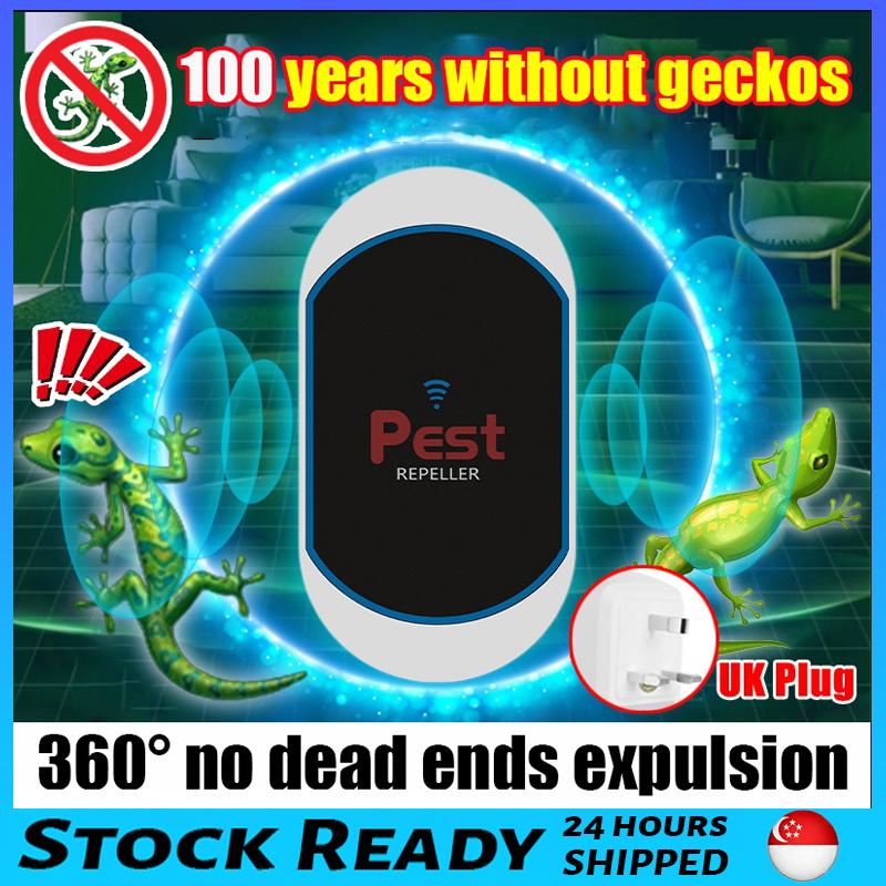【LOCAL STOCK-Deliver in 2-3 days】No geckos in the family100 Years ...