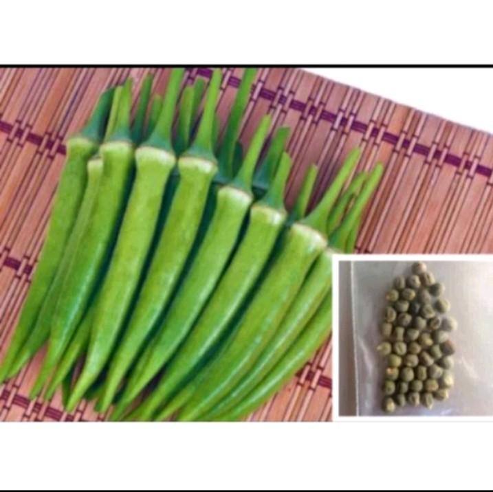 Green Okra Seeds For Planting(50seeds per pack) - TikTok Shop Philippines