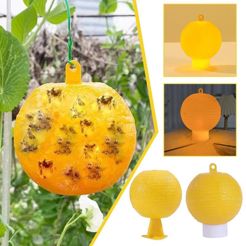 Fruit Fly Ball Baiting Insect Ball Sticky Insect Ball Wasp Melon ...