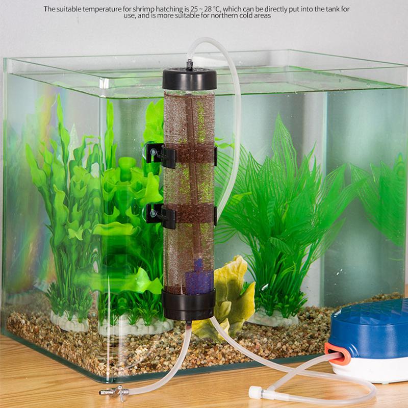 ZL Brine Shrimp Eggs Hatchery Kit DIY Artemia Eggs Incubator - TikTok ...