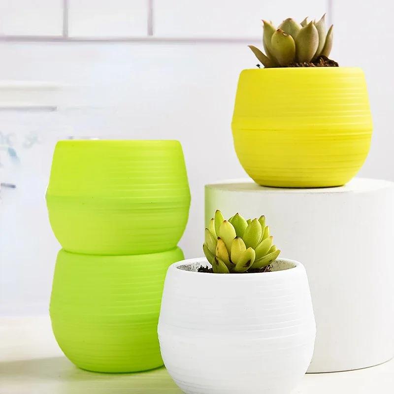 Pasu Bunga Tumbuhan Sukulen, Pasu Bunga Mini, Tumbuhan Meja, - TikTok ...