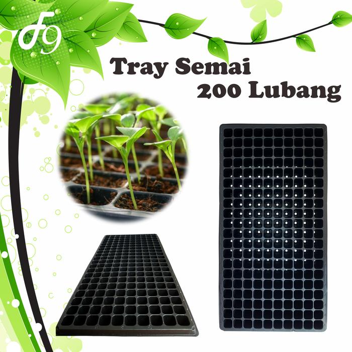 Promo Tray Semai Bibit Seeding tanaman Tray 200 Lubang Tanam - Kab ...