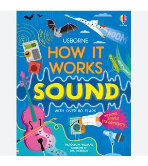 Jual Usborne How it Works Sound Lift the Flap Book Education English ...