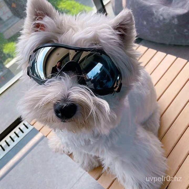 original NEW Dog Glasses Goggles Dog Sunglasses Corgi Pet Bicycle ...