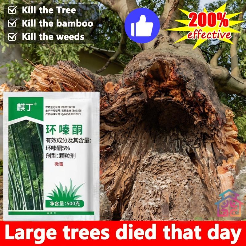 tree killer chemical herbicide to kill tree 500g Contains up - TikTok ...