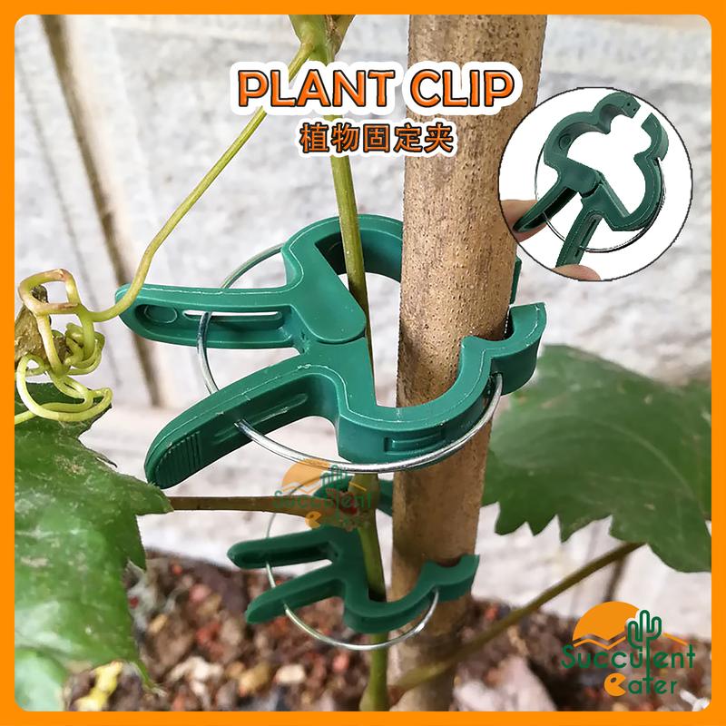 Garden Clip for Plant Flower Lever Loop Gripper Clips Fastener - TikTok ...