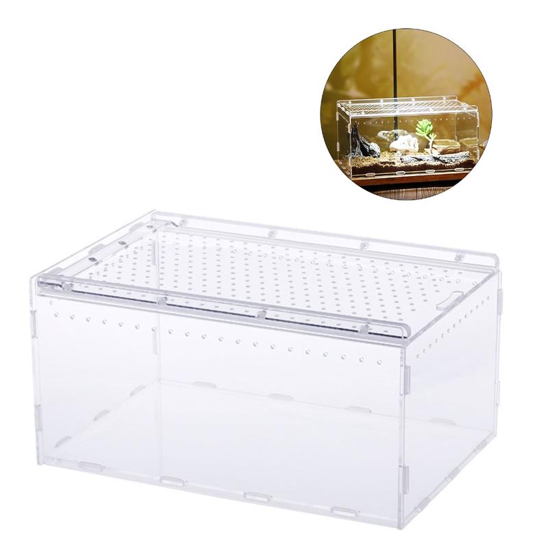 Acrylic Reptile Terrarium Insect Tarantulas Enclosure-Tanks Snail ...