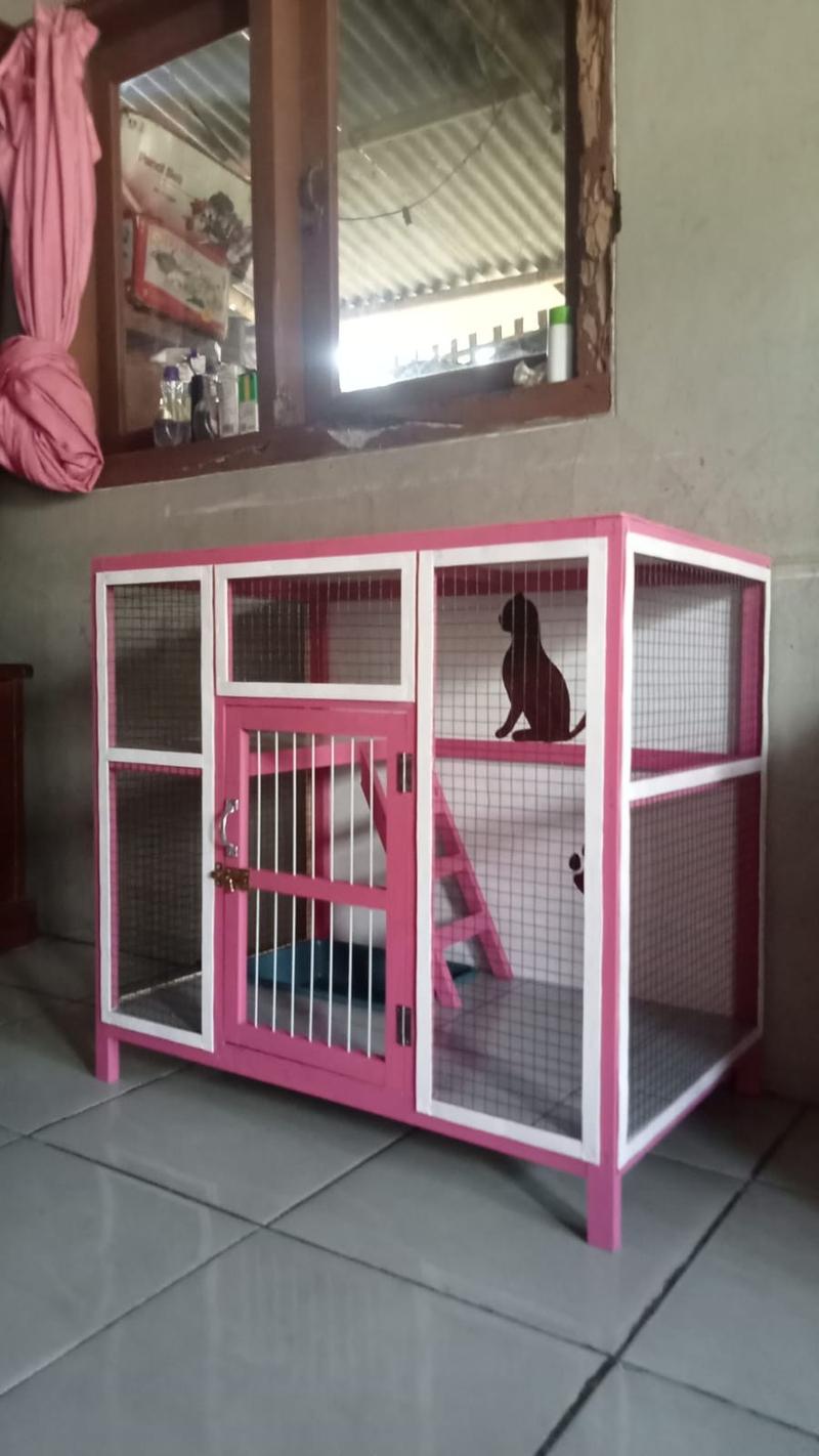 sangkar kucing kandang kucing - Shop | Tokopedia