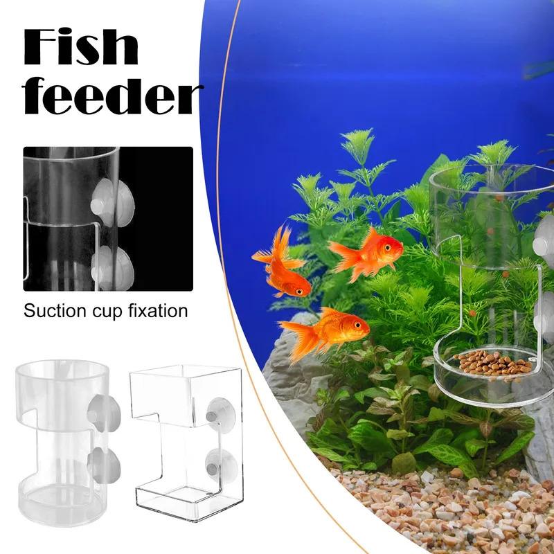 Fish Feeding Tool for Aquarium, Fish Tray, with Suction Cup, - TikTok ...