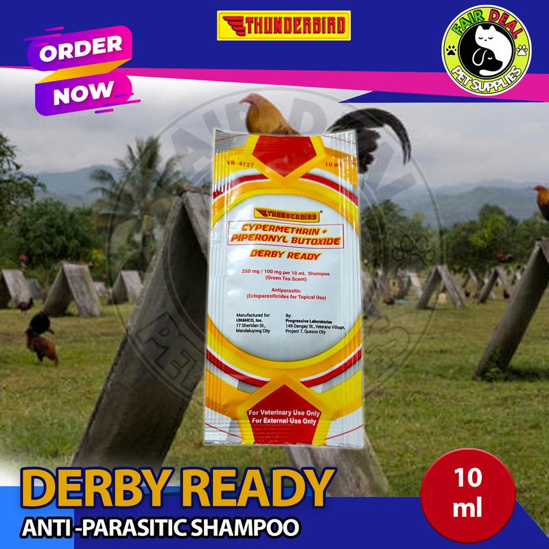 DERBY READY GameFowl Shampoo (10ml x 1 sachet) Retail - TikTok Shop ...