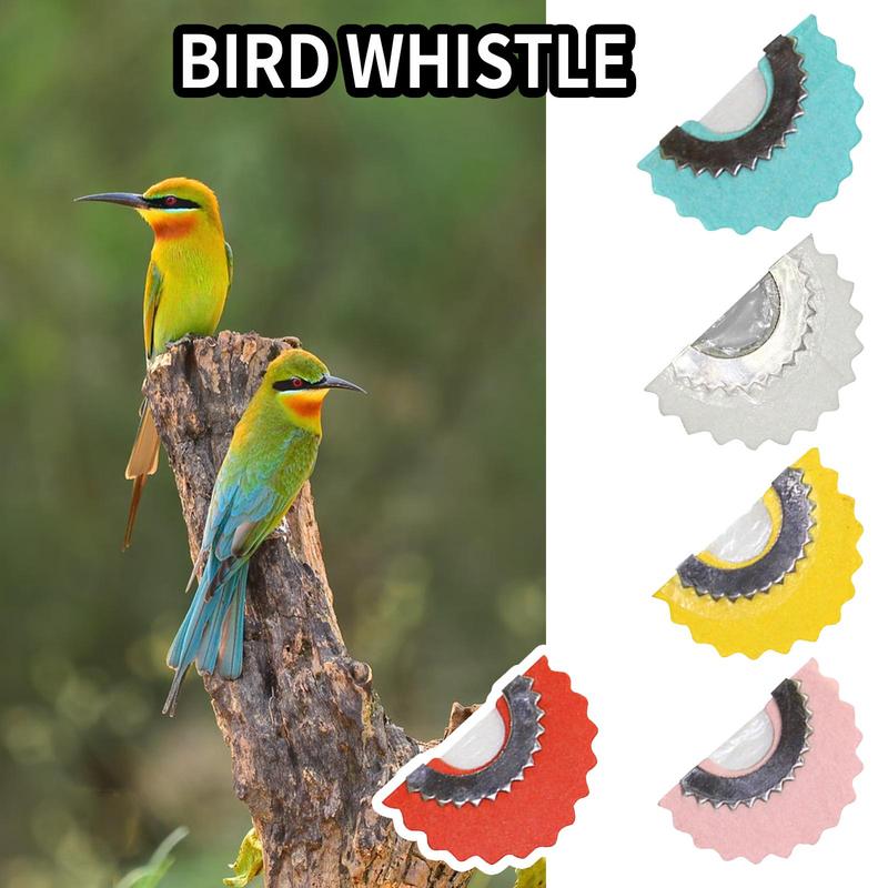 Wisel Burung, Ajaib dan Seronok, Penjawab Burung, Berbentuk Lidah ...