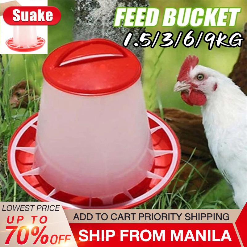 Chicken Drinker/Feeder Chicken Duck Bird Drinking Cups Feeding - TikTok ...