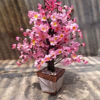 Jual Sincia Bunga Sakura Hias Dekorasi Imlek 2026 Pohon Mei Hua Mei Hwa ...