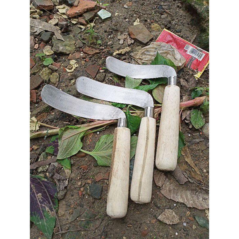 Alat Congkel Kelapa Baja Per Model Melengkung Sedang - Kitchenware ...