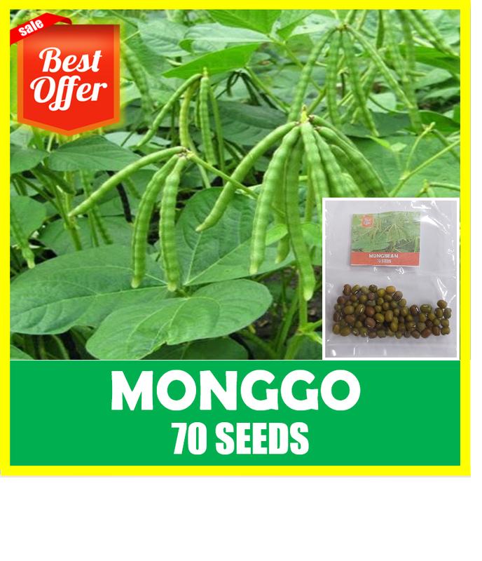 Monggo Sulit Pack: 70 High-Quality Mung Bean Seeds for Planting ...