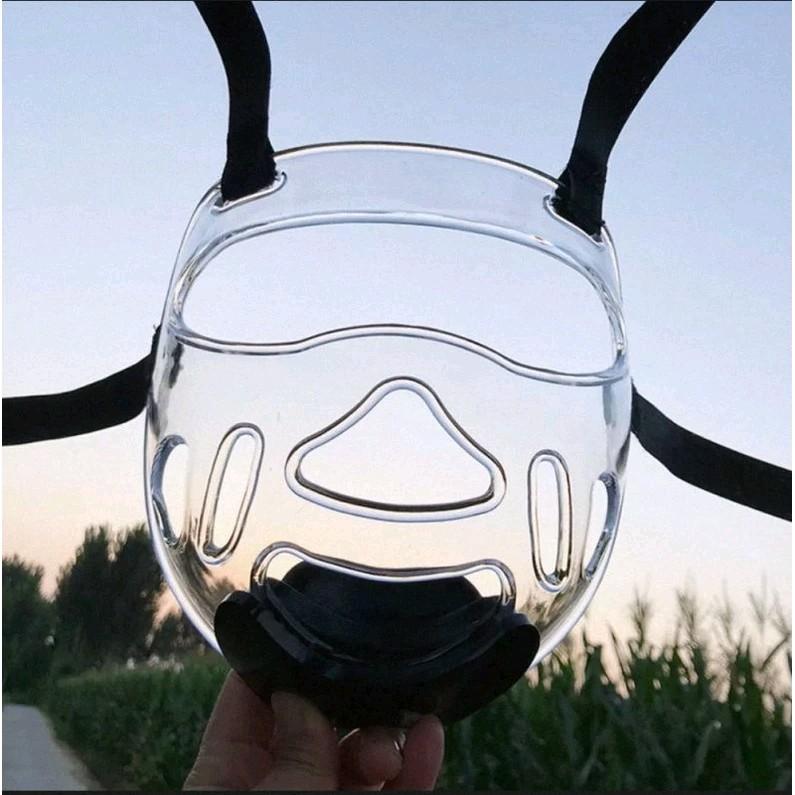 PELINDUNG KACA HEADGUARD - KACA HELM TAEKWONDO - FACE SHIELD - Shop ...