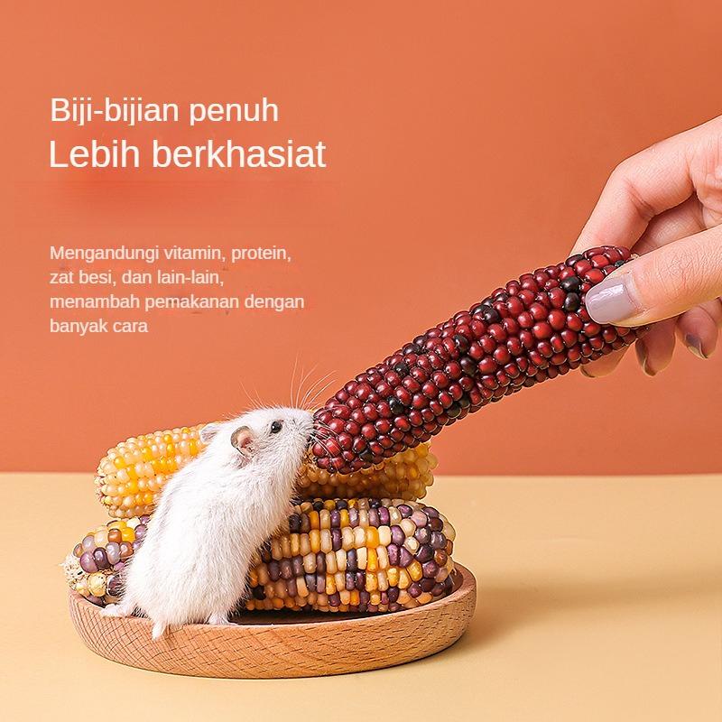 Batang Geraham Jagung, untuk Hamster dan Arnab, Mainan Mengunyah Sumbat ...
