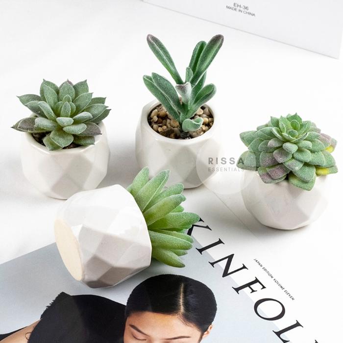 Promo [RISSA] Mini Kaktus Palsu Pot Cactus Kecil Tanaman Palsu Dekorasi ...