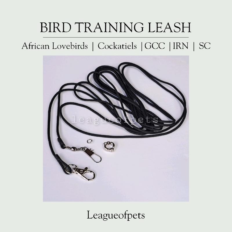 15ft Bird leash training ring for albs and cockatiels - TikTok Shop ...