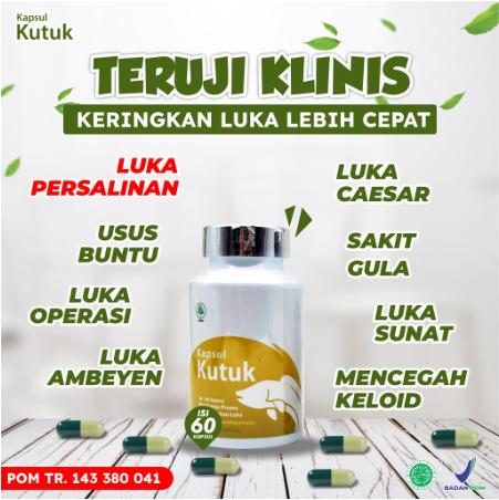 Kapsul Kutuk Premium Ikan Gabus Albumin Pasca Operasi Caesar dan ...