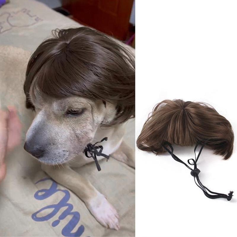 Pet Wigs Dog Wigs Pet Supplies Halloweens Pet Accessories Curly ...