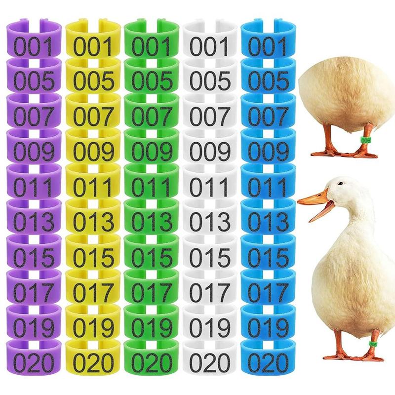 100pcs Non-Toxic Portable Poultry Leg Tags Mixed Colour Plastic ...