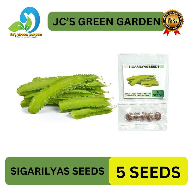 (5PCS SEEDS)VALUE PACK-SIGARILYAS SEEDS/HIGH YIELD/EASY TO GROW/(Winged ...