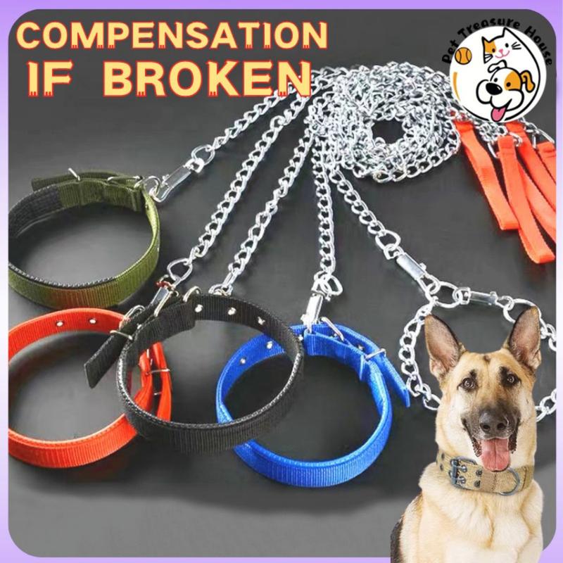 Stainless Steel Dog Chain & Collars dog leash big dog chain dog ...