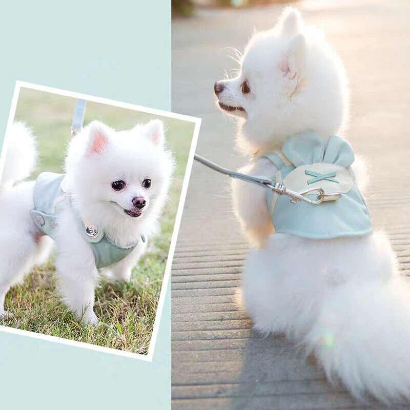 Cute Set Chest Strap Breathable Dog Leash Walking For Small - TikTok ...