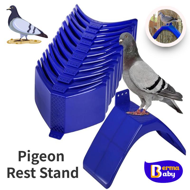 Berma Baby Pigeon Resting Rack Lightweight Pigeon Perches Plastic ...
