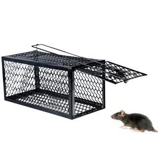 High sensitivity, good effect in rats trappingHigh sensitivity ...