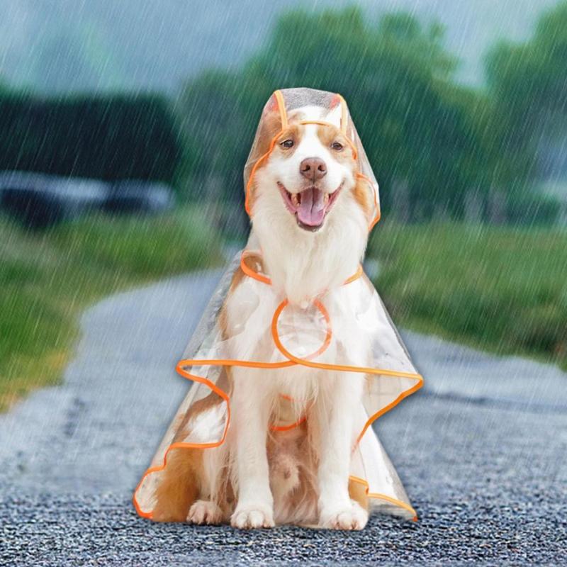 Dog Raincoat Hooded Clear Lightweight Hooded Slicker Pet Rai - TikTok ...