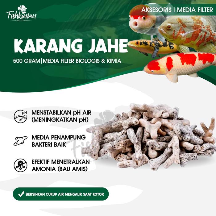 Promo BATU KARANG JAHE MEDIA FILTER AIR AQUARIUM KOLAM PENSTABIL pH ...