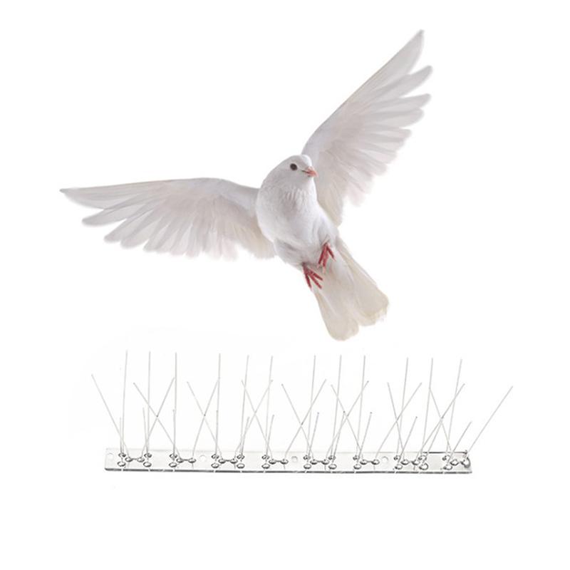 Stainless Steel Bird Repellent Spikes Pigeon Nail Bird Deterrent ...