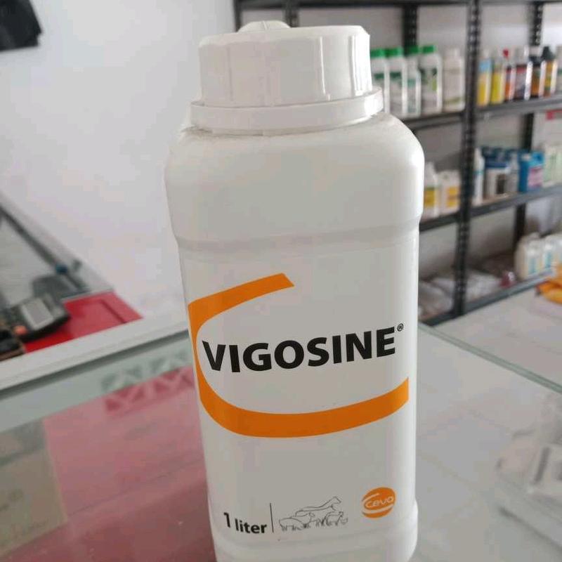 vigosine 1 liter vitamin ayam - Shop | Tokopedia