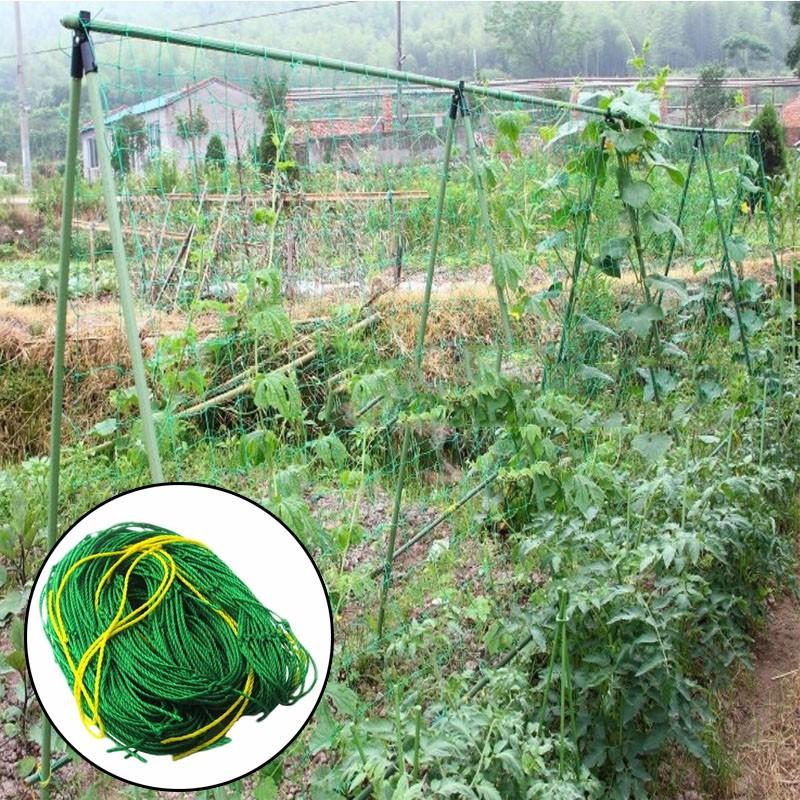 Garden Climbing Netting Strong Nylon Plant Trellis Support Fruit ...