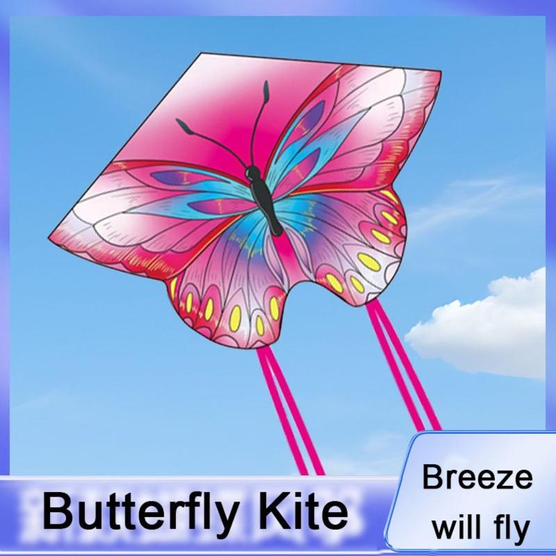 New Butterfly Triangle Kites Cartoon Easy To Fly Butterfly Kite ...