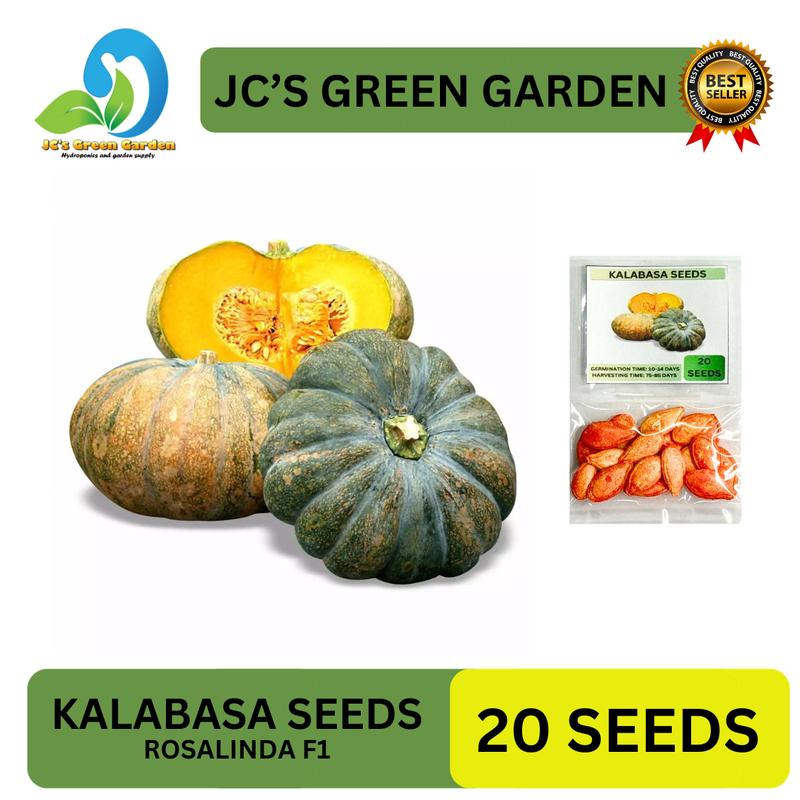 20pcs SEEDS - KALABASA LAGKITAN NATIVE VARIETY/ EASY TO GROW - TikTok ...