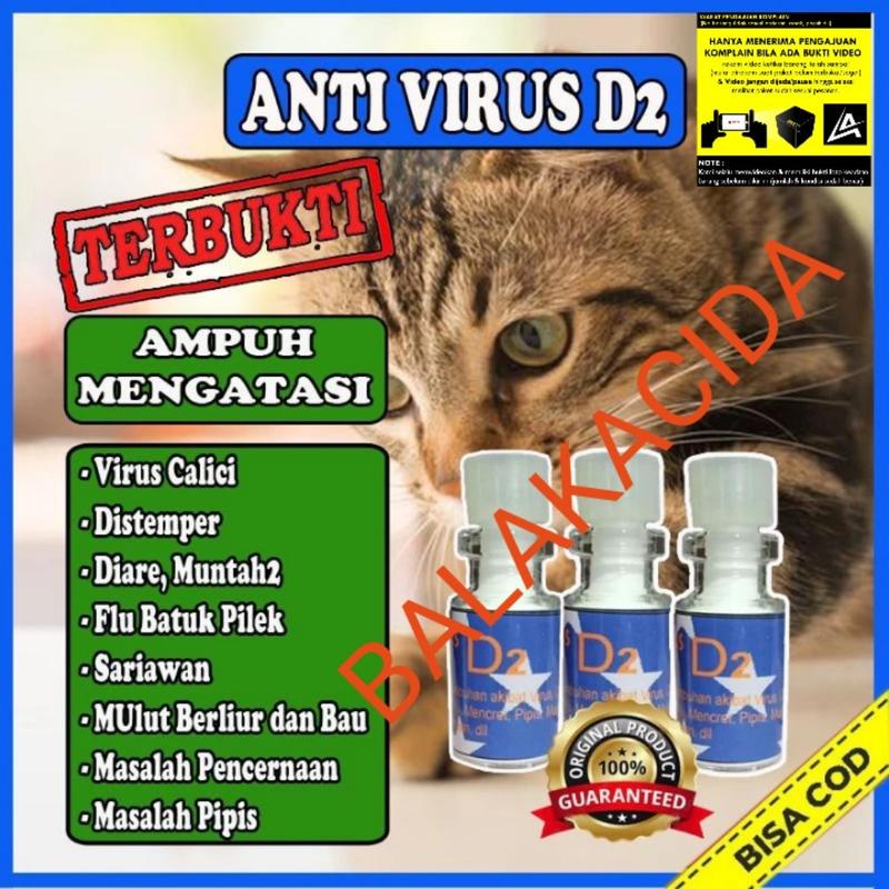 Obat Kucing D2 | Obat flu kucing, obat virus kucing calici, distemper ...