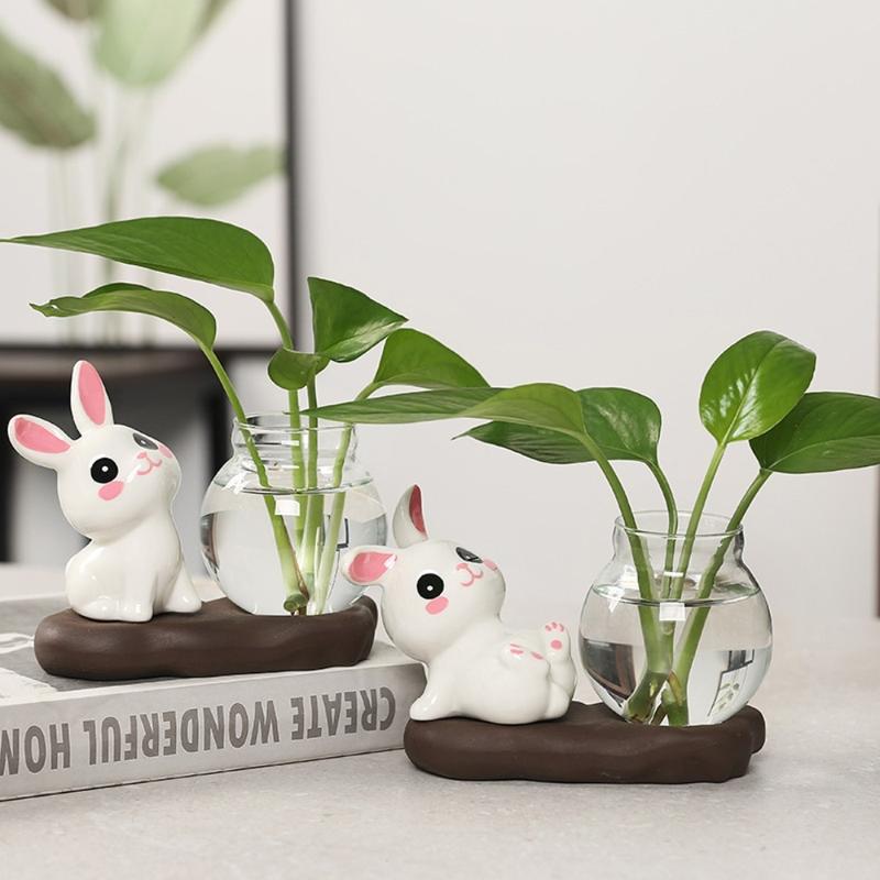 Pasu Tumbuhan Hidroponik Arnab Comel, Hiasan Mudah & Rumah, dengan ...