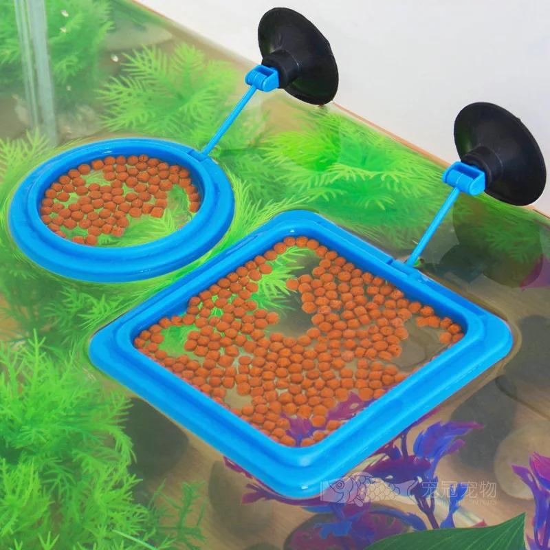 Fish feeding ring, portable, Round Square, suction cup, aquatic animal ...