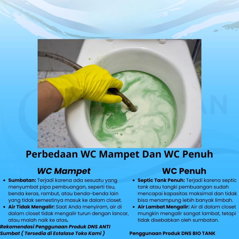 DNS Bio Tank Solusi Septictank WC Penuh Tanpa Sedot Pengurai Bakteri ...